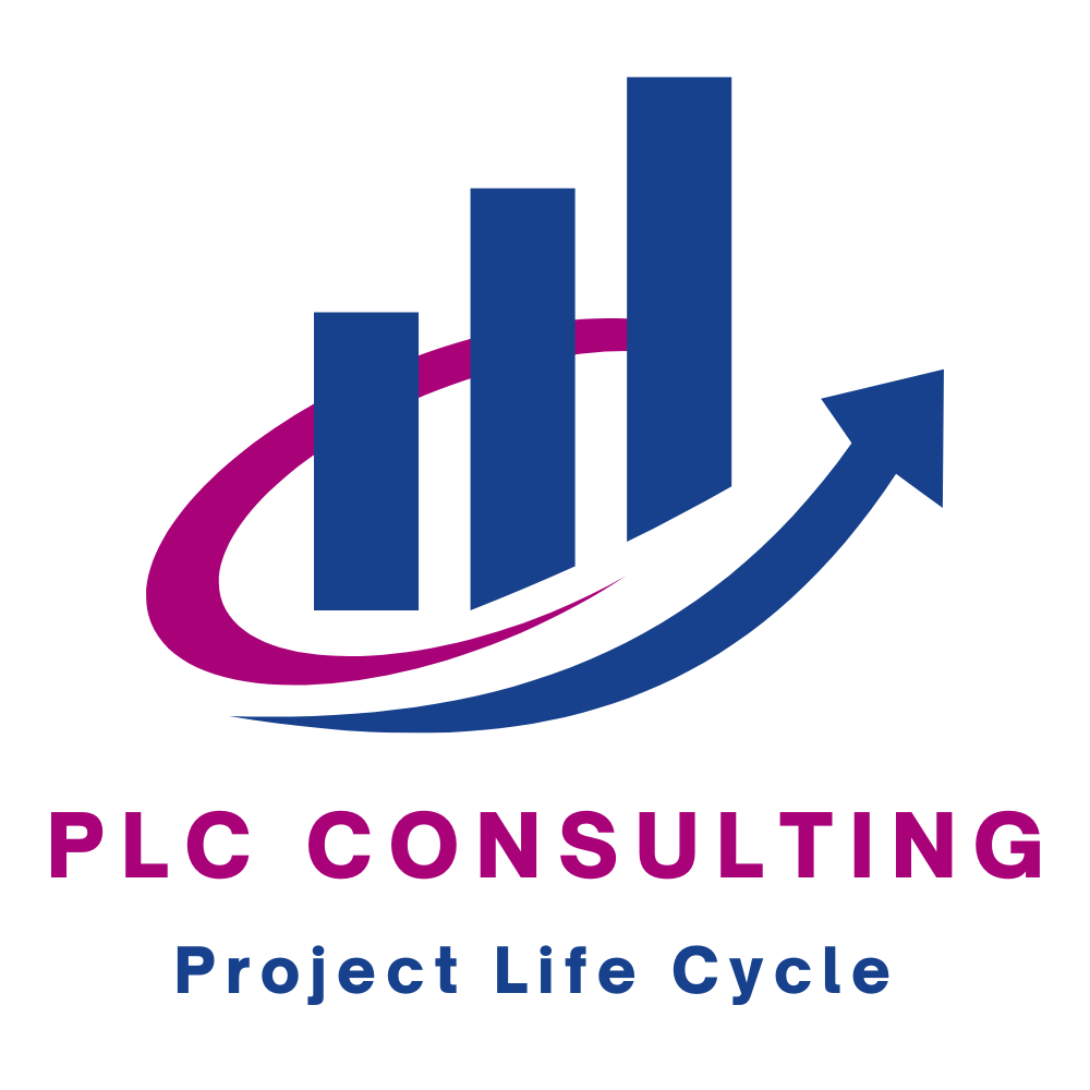 Logo PLC Consulting – Création site internet Bastogne | Province de ...